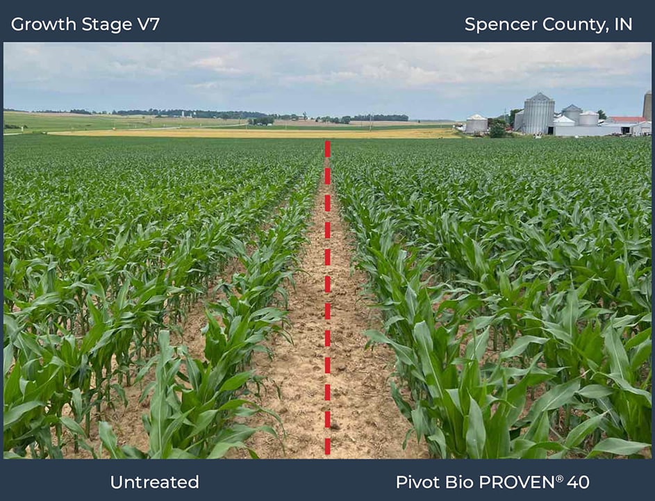 Nitrogen Performance | Pivot Bio